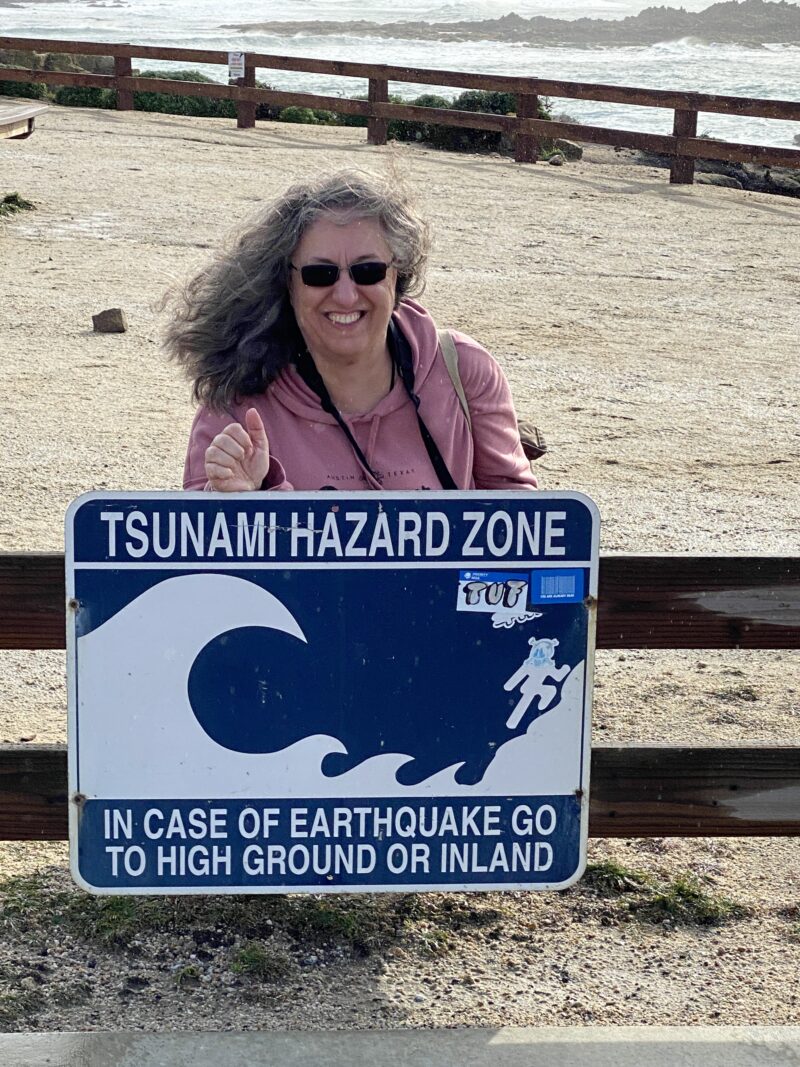 How to Survive a Tsunami: A Comedic Cautionary Tale - Carol's Little World